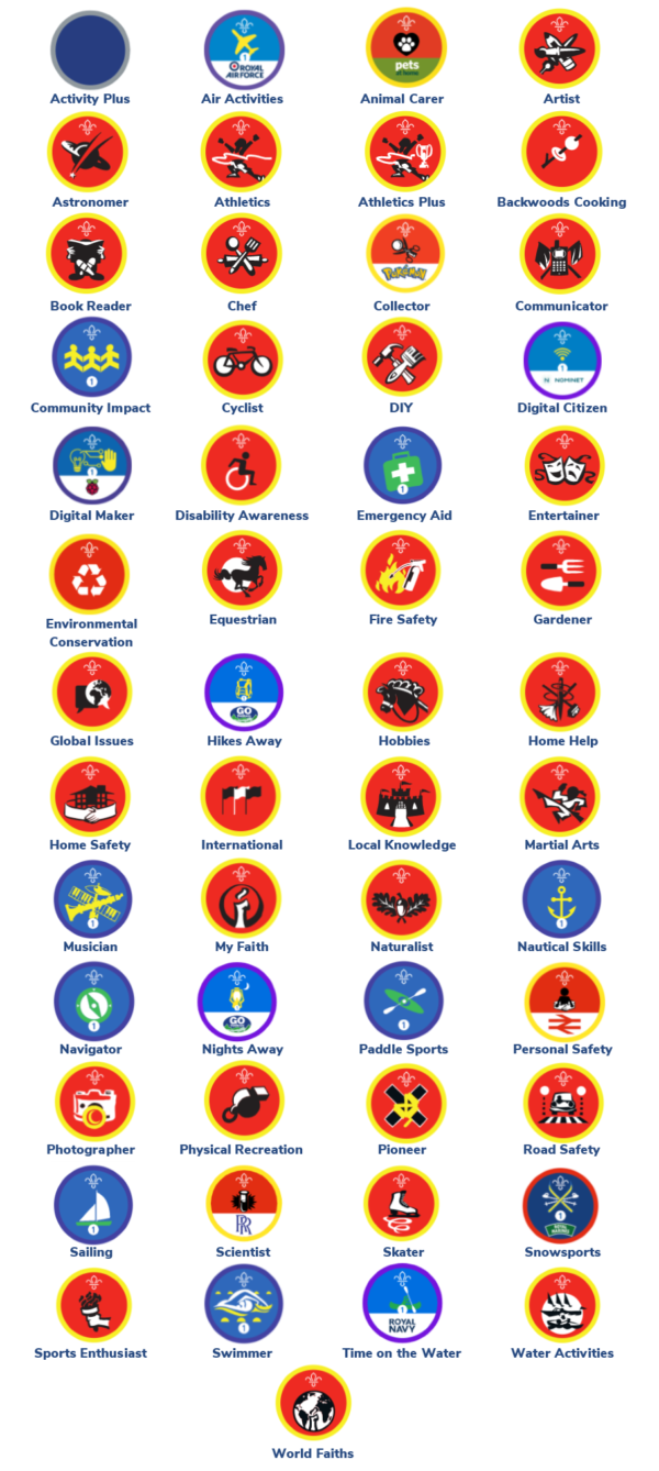 Cubs Activity & Staged Badges | Fylde District